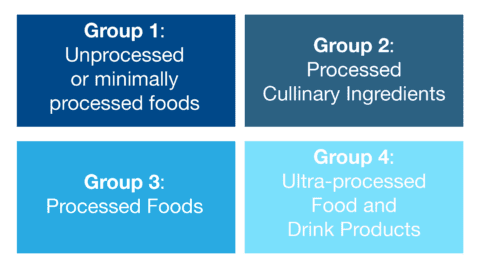 The Impact of Ultra-Processed Food on Human Health - FSNS